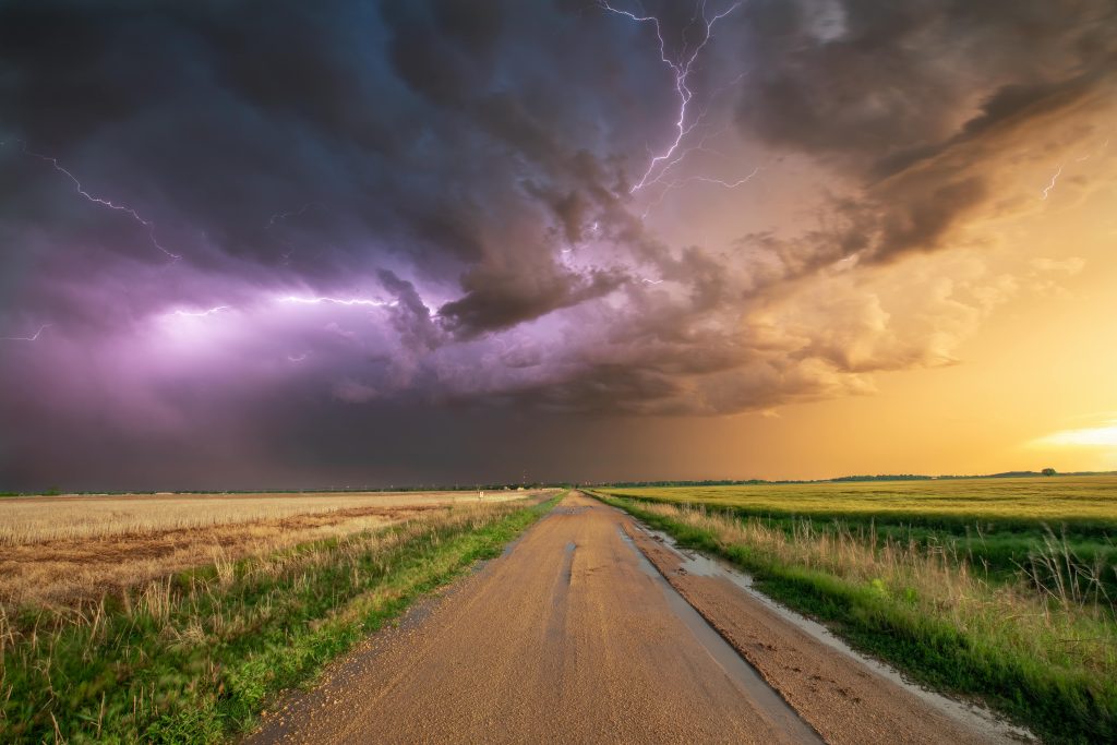 Wildlife Officials Warn Feral Hogs Are Spreading Fast, 10 States Seeing ...